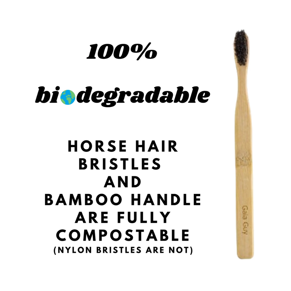 Bamboo and Horsehair Toothbrush, Medium-Soft Horse Hair Bristles (Adul ...